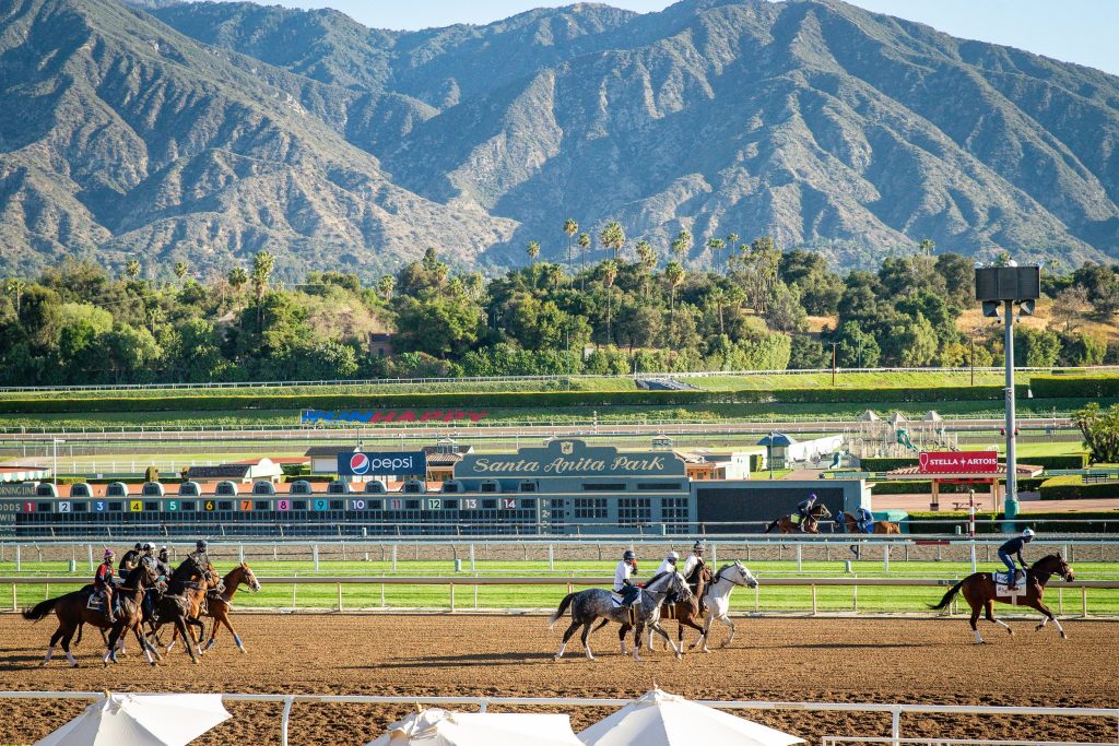 Next 12 months ALL Reports WCHR and ECHR – The Henie Reports